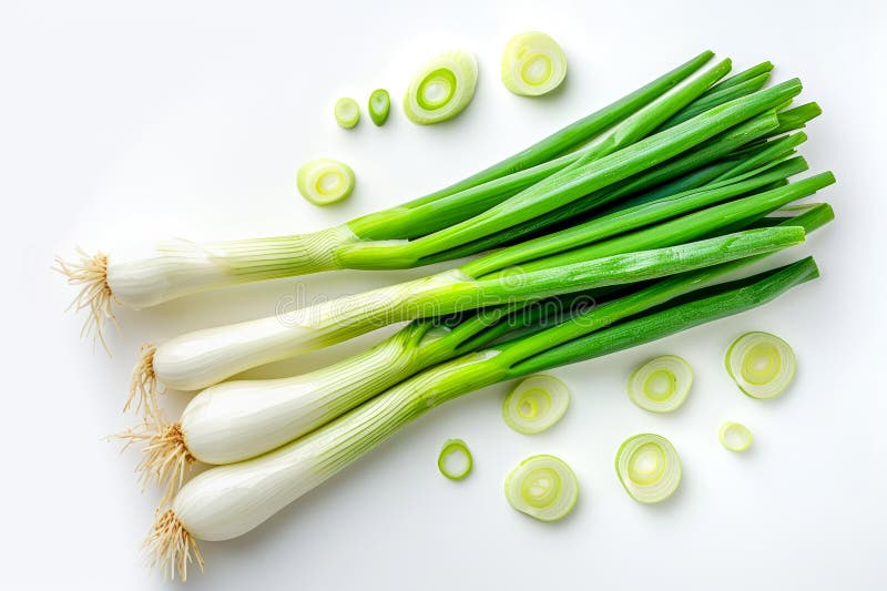 Top View of Group of Green Scallions and Circle Slices with Shadows ...