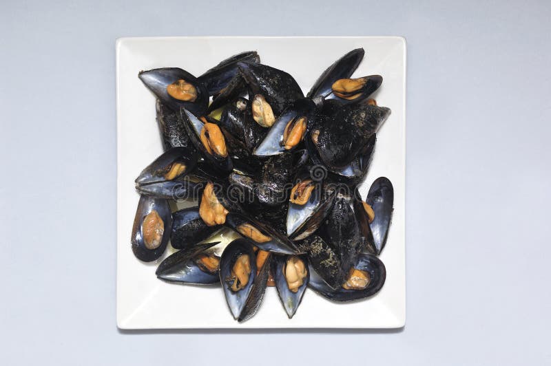 Top View of Group of Mussels Stock Photo - Image of lunch, cooked ...
