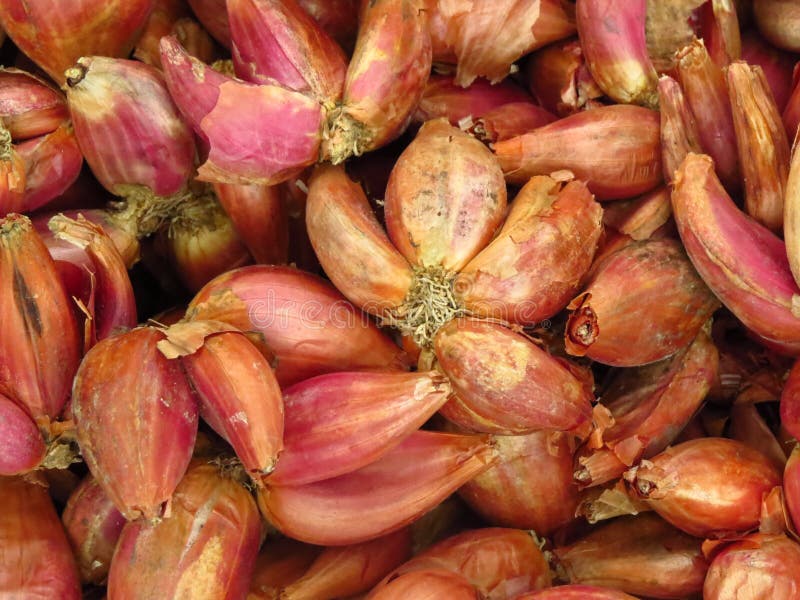 Top View of a Group of Ripe Shallots Stock Image - Image of spice ...
