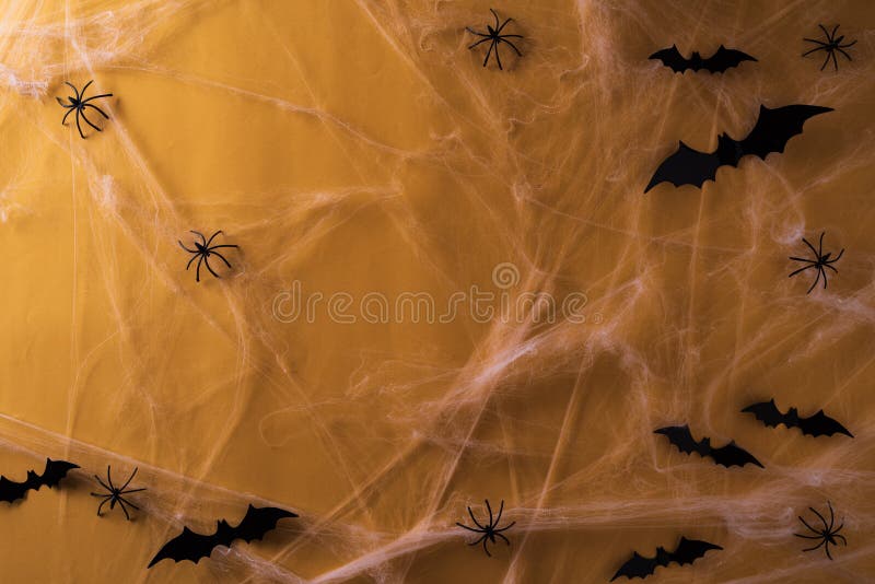 Top View of Halloween Crafts, White Spider Web with Ghost, Bat and ...