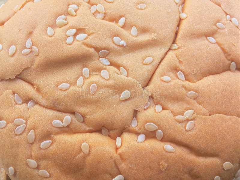 Plain Burger Buns Top View Stock Photos - Free & Royalty-Free Stock ...