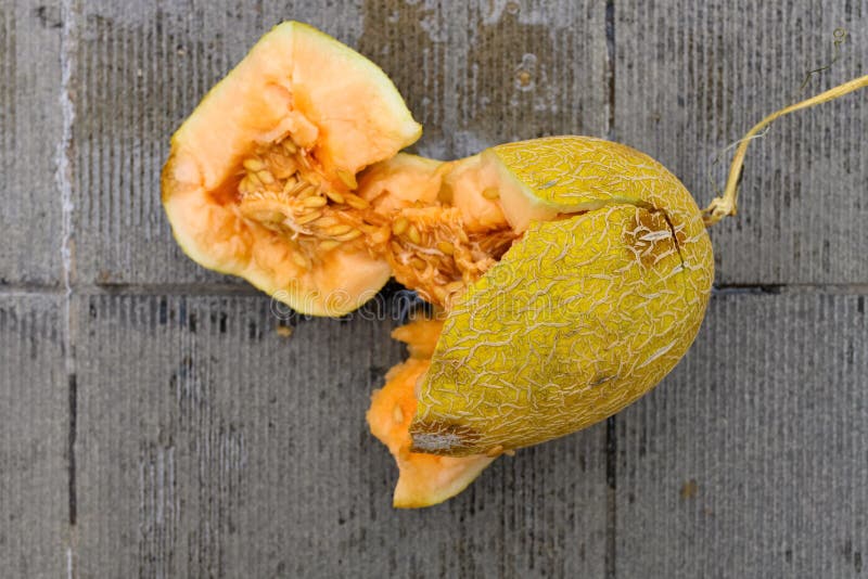 Top View Hami Melon Dropped To Concrete Floor and Broken Stock Photo ...