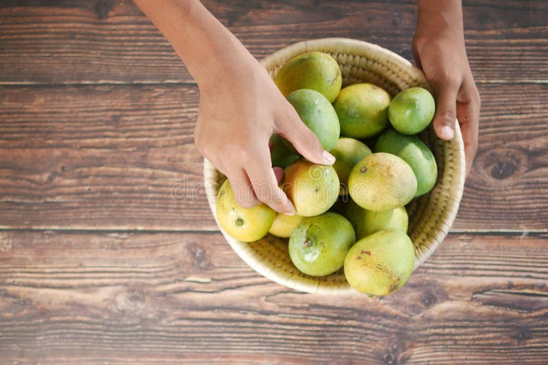 Top View of Hand Pick Fresh Mango from a Bowl Stock Image - Image of ...