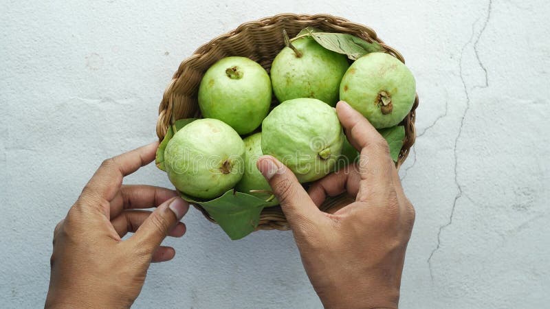 Top View of Hand Pick Guava on Table Stock Footage - Video of piece ...