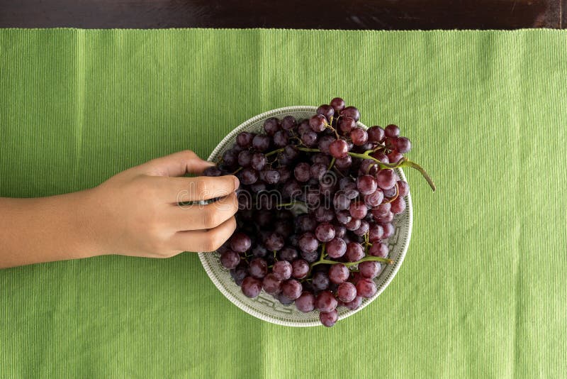 Top View of Hand Picked Grape Stock Image - Image of bunch, background ...