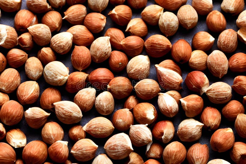 Top View of Hazelnut Kernels Stock Photo - Image of seed, food: 255828304