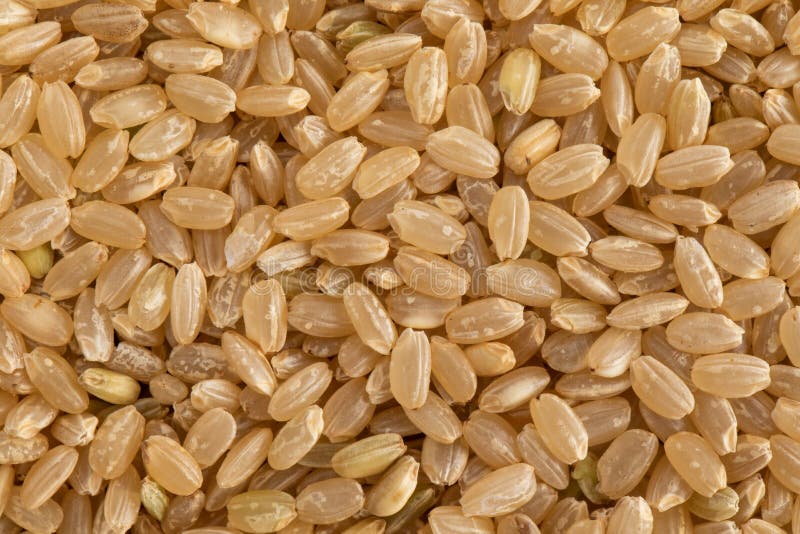 Top view of a heap of rice stock photo. Image of diet - 207541340