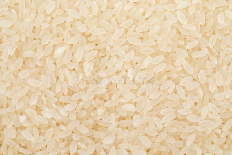 Top view of a heap of rice stock photo. Image of heap - 207558558