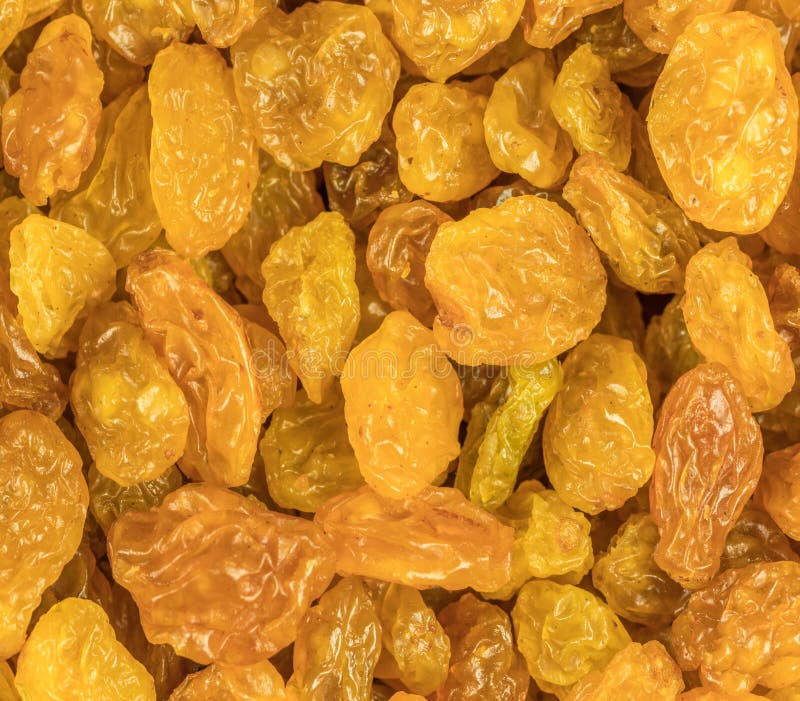 Top View of a Heap of White Raisins Stock Image - Image of heap, fruit ...