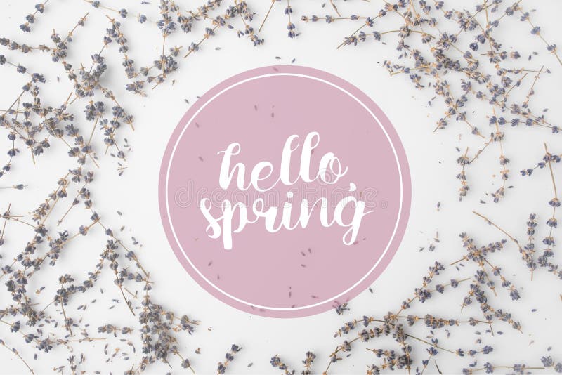 Top View of HELLO SPRING Lettering with Round Frame of Lavender Flowers ...