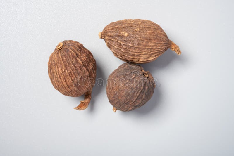 Herb CaoGuo or Tsaoko Fructus or Tsaoko Amomum Fruit Stock Image ...