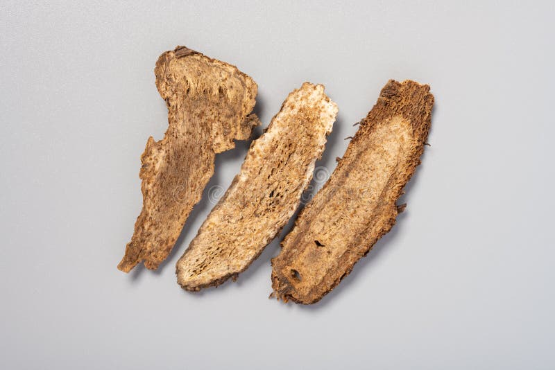 Herb MuXiang or Aucklandiae Radix or Costusroot Stock Image - Image of ...