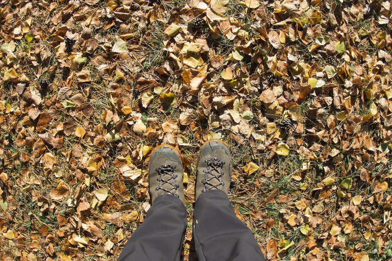 Top View of a Hiking Boot on the Grass and Autumn Foliage Stock Image ...