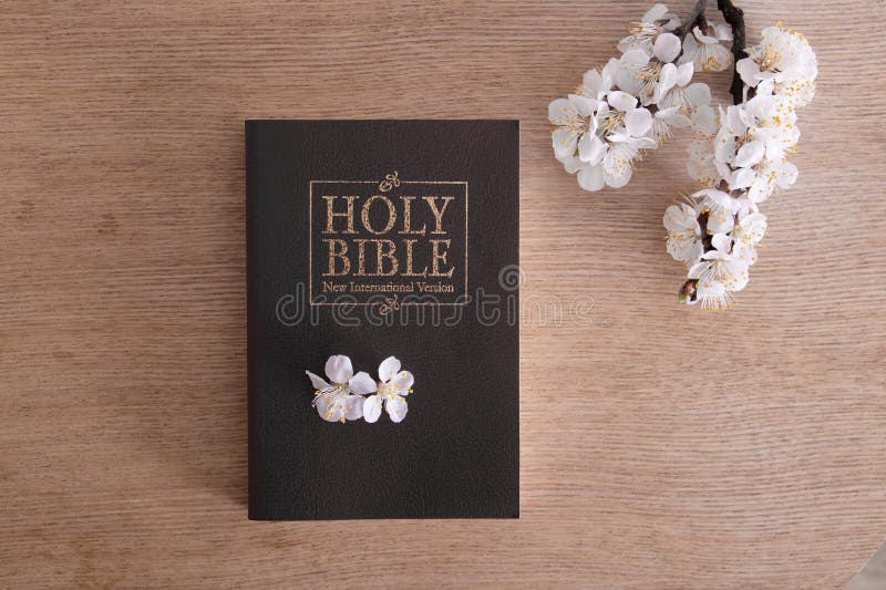 Top View Holy Bible on a Table with Spring Flowers. Bible Study Spring ...