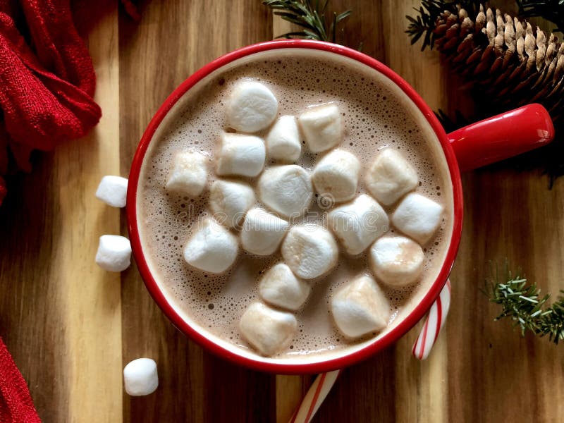 Hot cocoa stock image. Image of delicious, décor, drink - 134421659