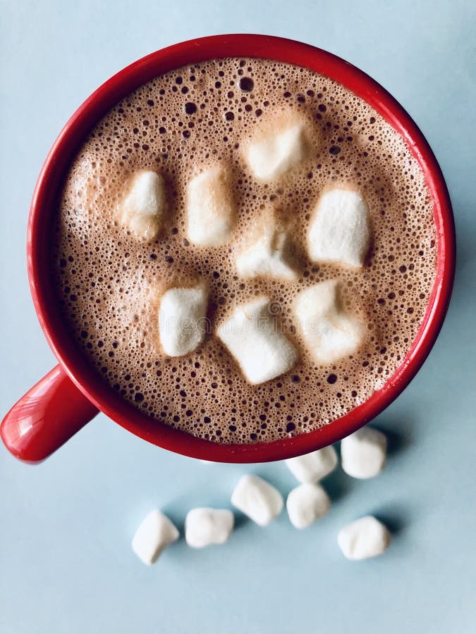 Hot cocoa stock photo. Image of sweet, flat, cacao, powder - 165862514