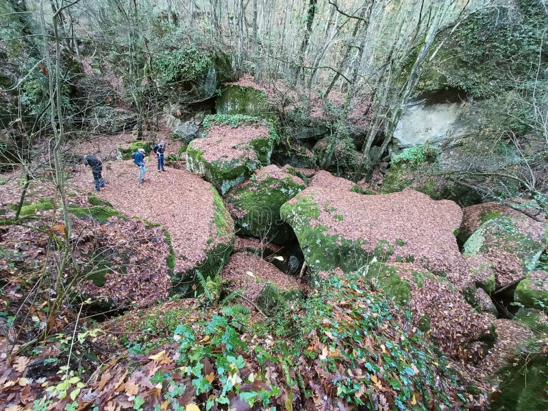 Top View of Huge Stacked Rocks with Three People on Top among a Forest ...