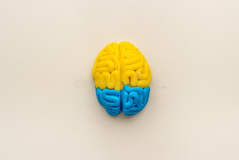 Top View of Human Brain Made of Clay. Mental Health Concept Stock Photo ...
