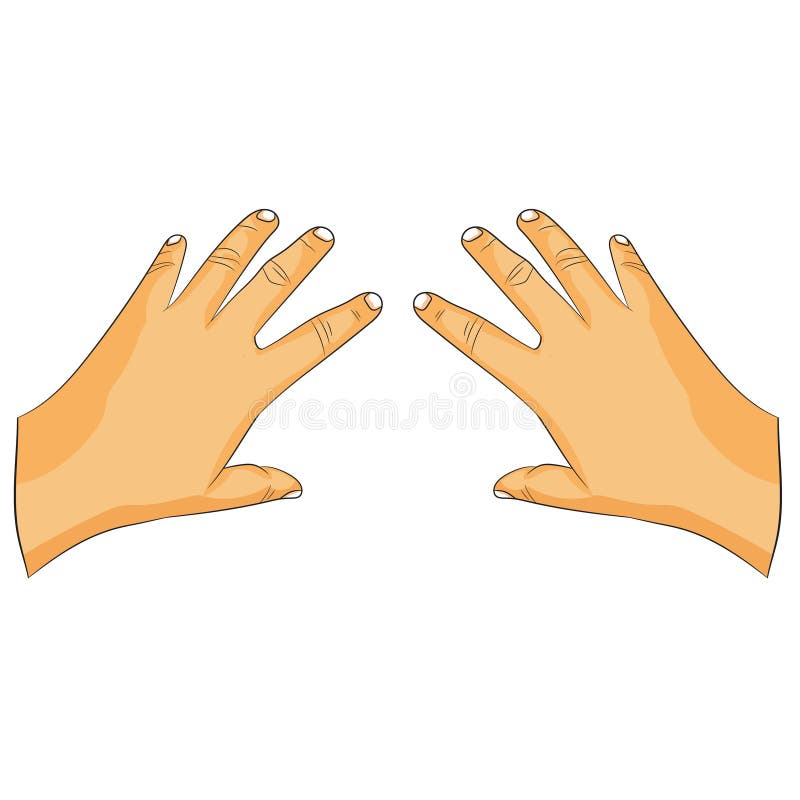 Top View of Human Hand. Left and Right Hand on White Background Stock ...