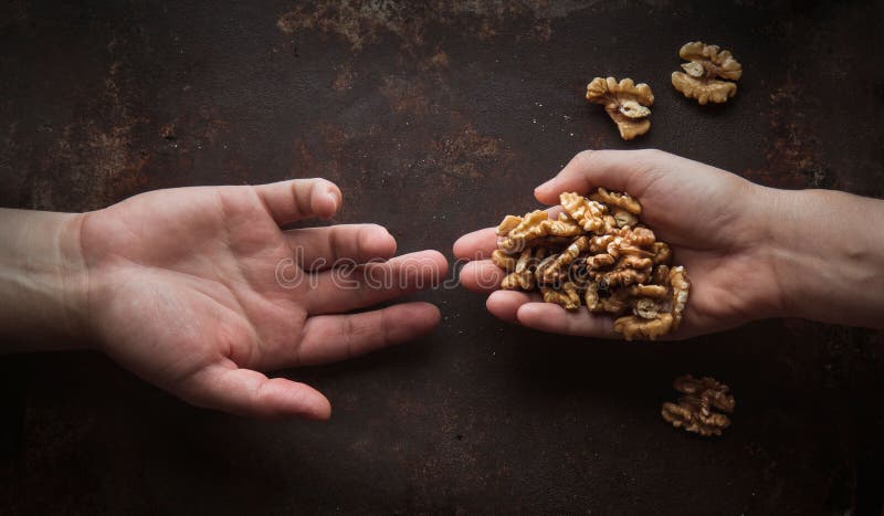 Top View of Human Hands Sharing Nuts on Rusty Surface Stock Image ...