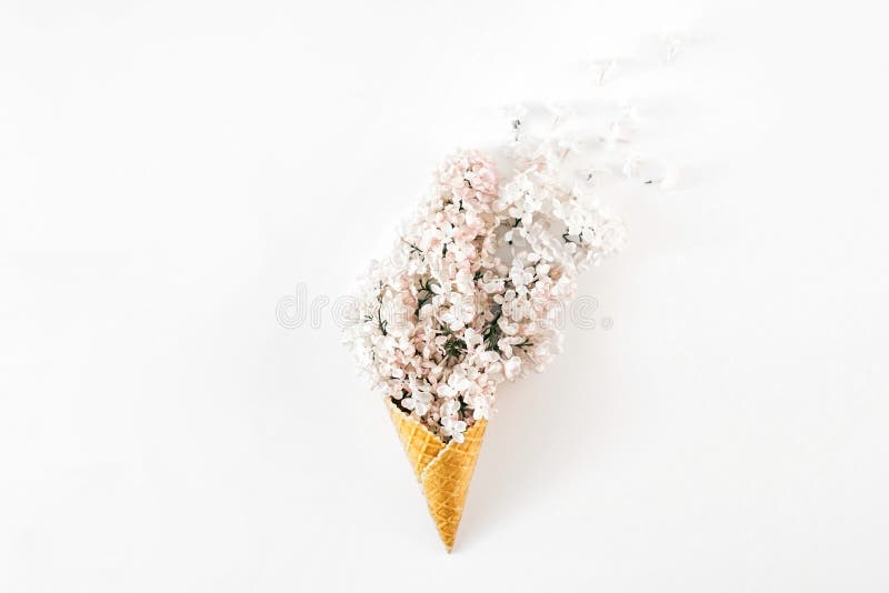 Top View Ice Cream Cone Branch White Lilacs. Minimal Spring Conc Stock ...