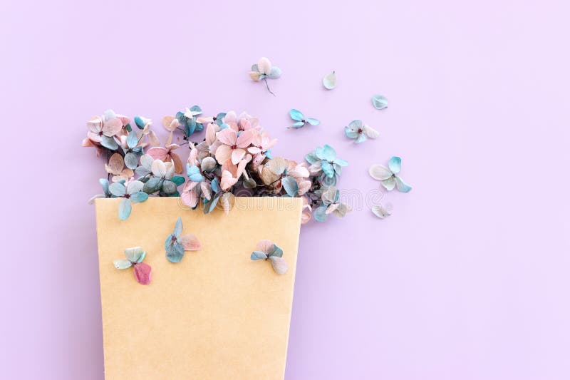 Top View Image of Colorful Hydrangea Flowers Over Purple Pastel ...
