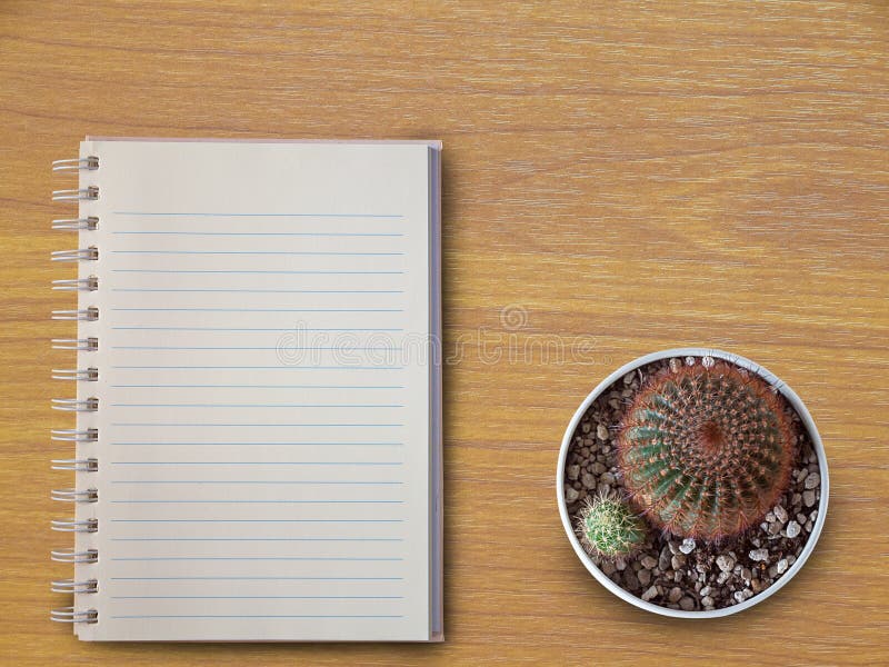 335 Top Down View Open Book Stock Photos - Free & Royalty-Free Stock ...