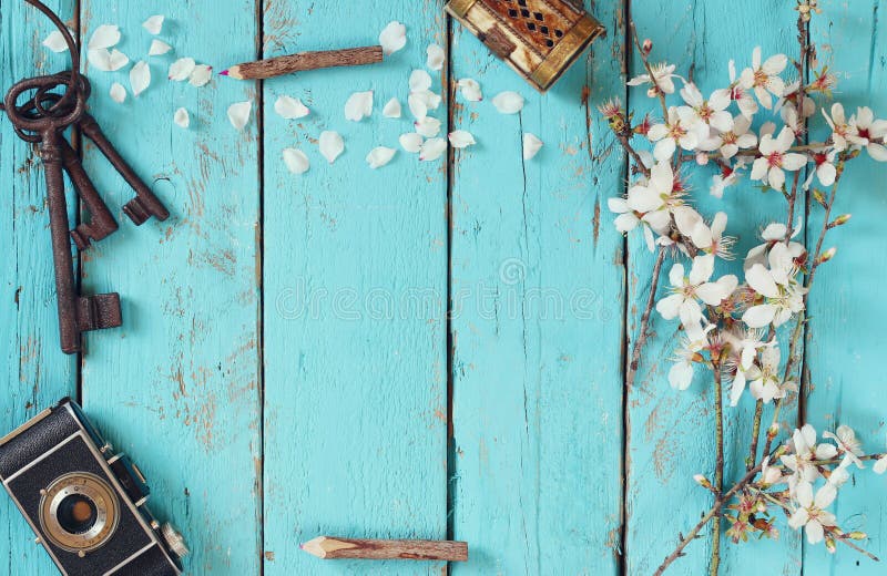 4,104 Sakura Tree Top View Stock Photos - Free & Royalty-Free Stock ...