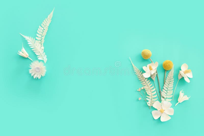 Top View Image of White Dry Flowers Over Pastel Blue Background .Flat ...