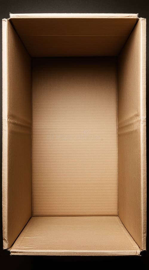 Top View Inside an Empty Open Cardboard Box Stock Illustration ...