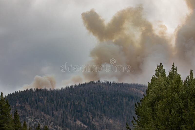 Top View of an Invincible Forest Fire Stock Photo - Image of landscape ...