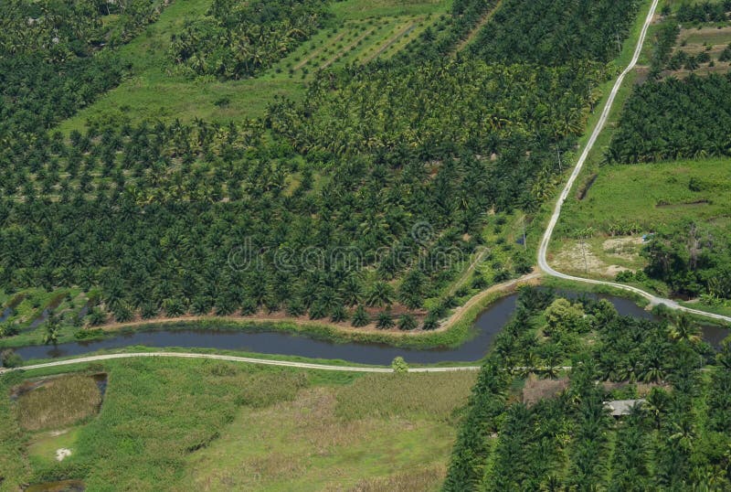 Top view of the irrigation stock image. Image of environmental - 42255333