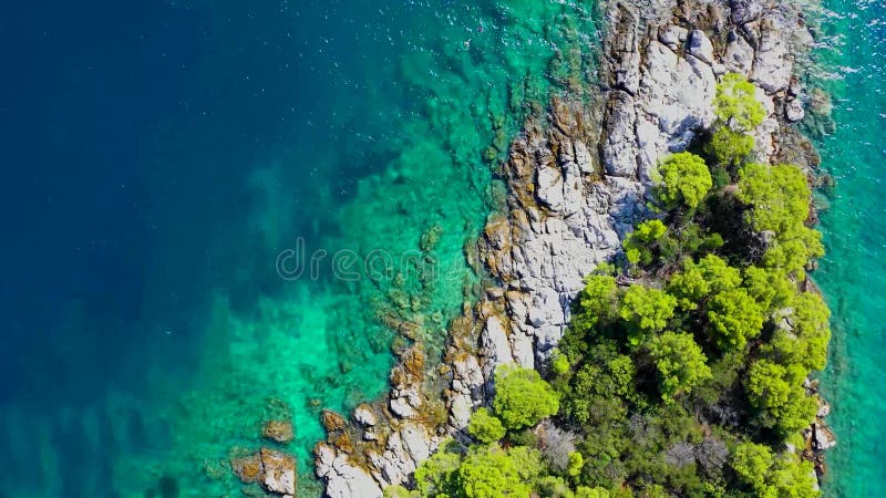 Top View of an Island with Trees Stock Image - Image of beach, coast ...