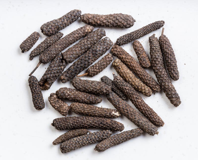 Top View of Java Long Pepper Close Up on Gray Stock Image - Image of dipli, longum: 220082151