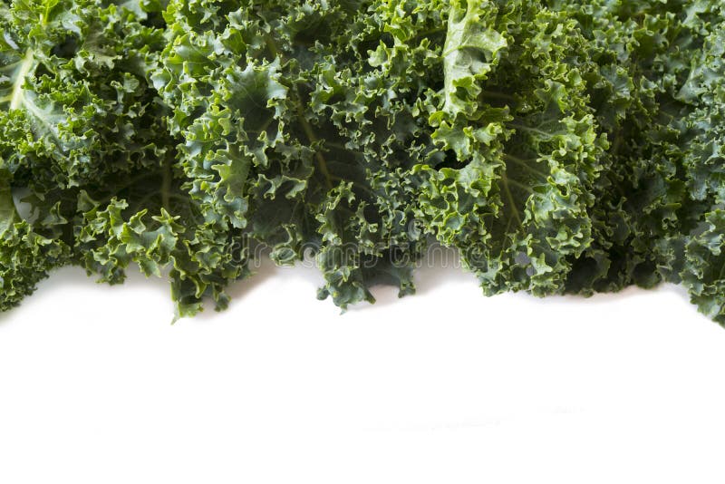 Top View. Kale Leaves on a White Background. Background of Kale Leaves ...