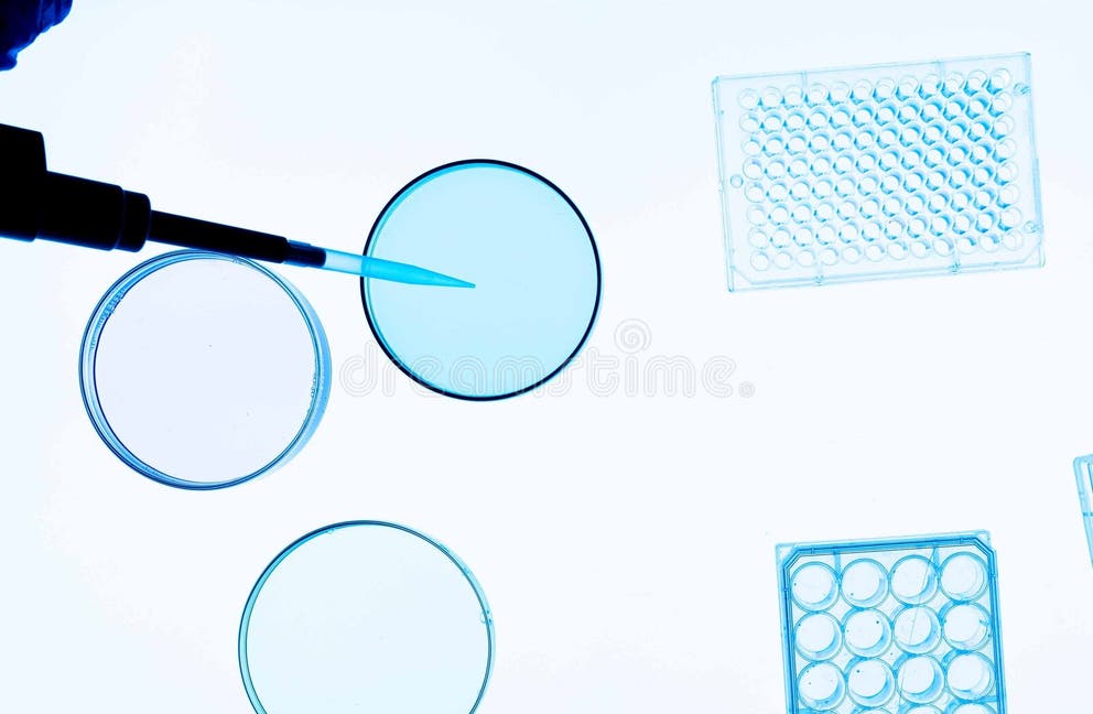 Top View of a Laboratory Bench for Microbiological Research Stock Image ...