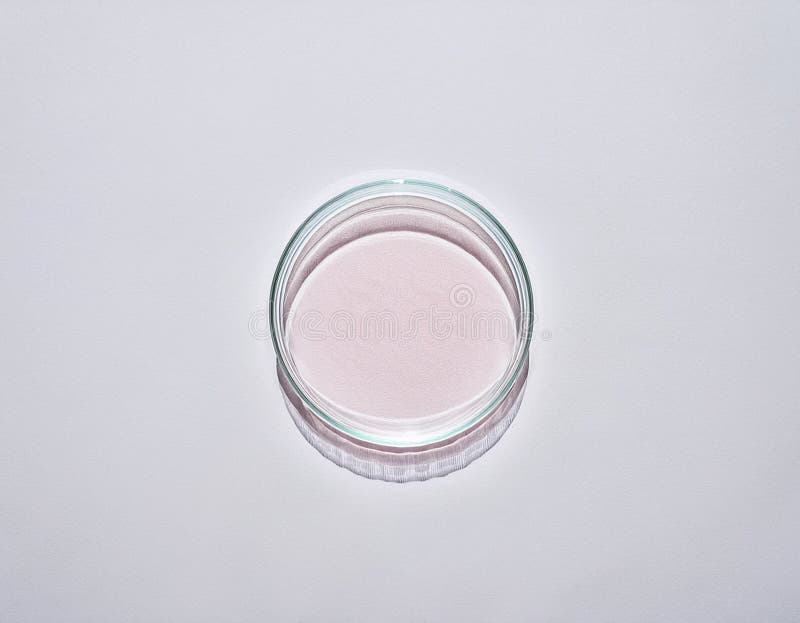 Top View of Laboratory Glassware with Pink Liquid on Grey Background ...