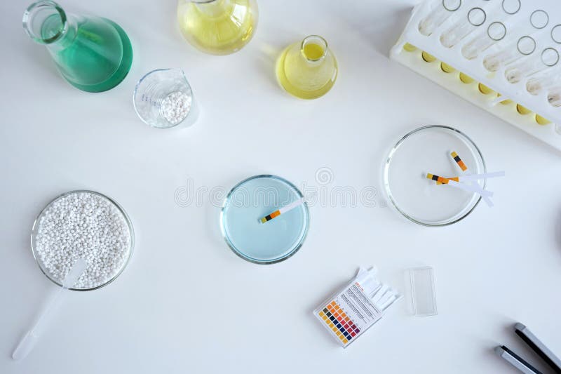 2,501 Top View Petri Dish Stock Photos - Free & Royalty-Free Stock ...