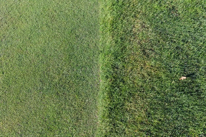 Top View of Lawn with Grass Trimmed To Different Heights Stock Image ...