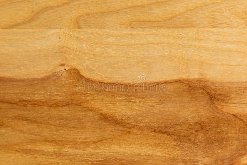 Top View of Light Brown Oak Laminate Stock Photo - Image of sample ...