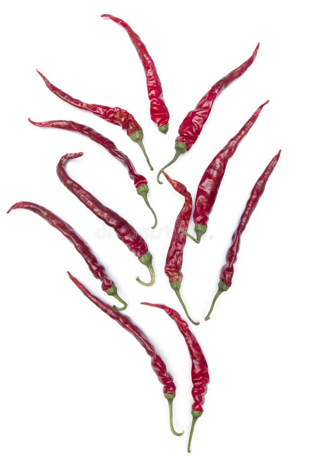 Top View of Line Composition Chilli Red Peppers Isolated on White ...