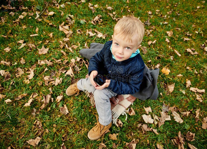Boy sitting on the grass stock photo. Image of garden - 99050744