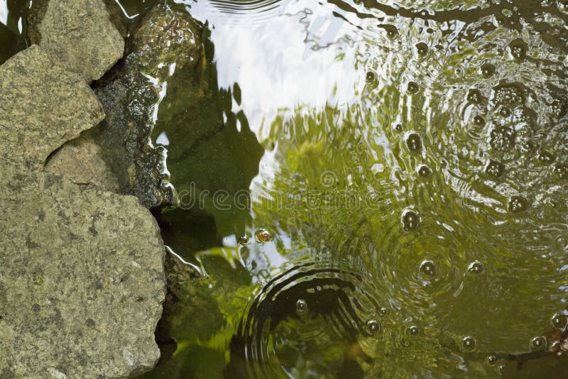1,015 Zen Pond Top View Stock Photos - Free & Royalty-Free Stock Photos ...