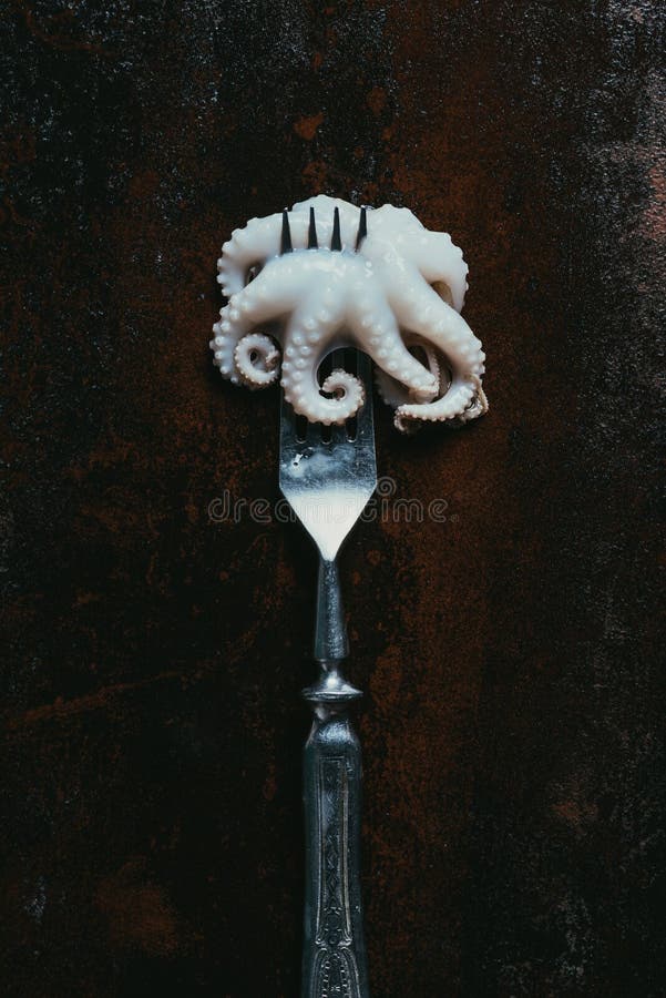 Top View of Little Raw Octopus on Fork on Rusty Stock Photo - Image of ...