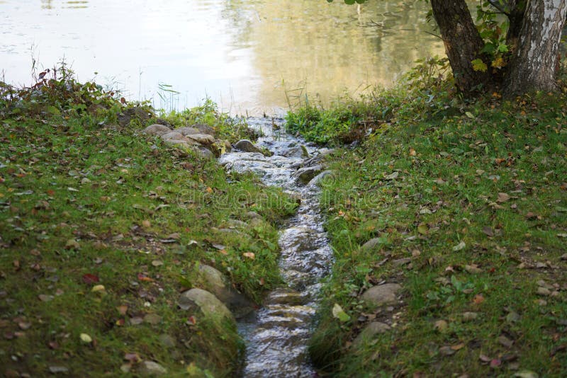 Top View of a Little Stream in a Forest Flowing To a Lake Stock Image ...