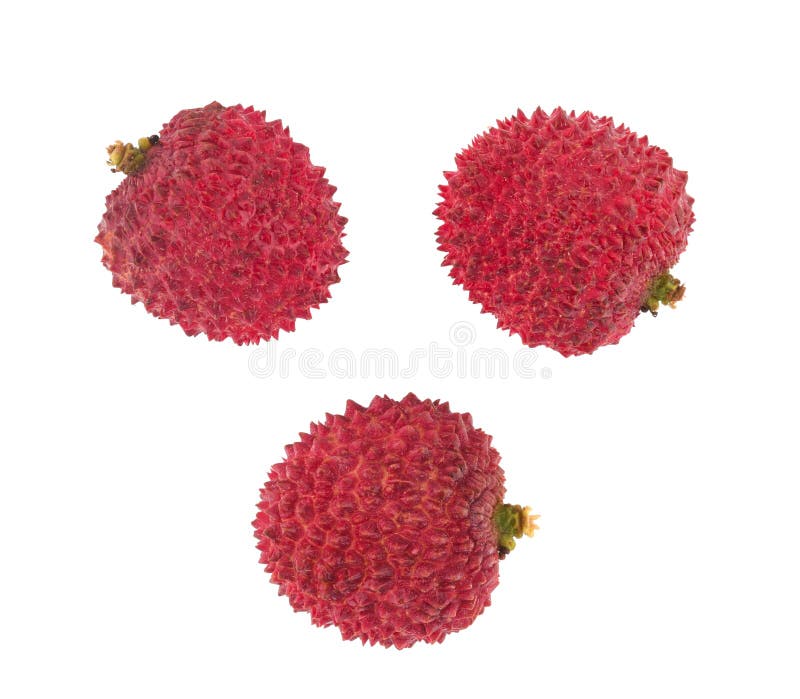 Top View of Lychee Isolated on White Background Stock Photo - Image of ...
