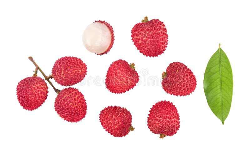 Top View of Lychee Isolated on White Background Stock Photo - Image of ...