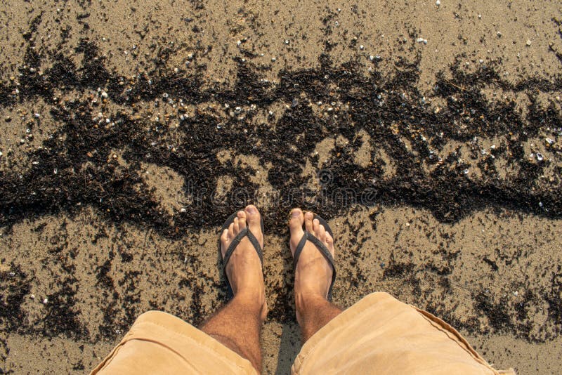 Top View of a Man on a Sandy Shore Wearing Dark Slippers at Summertime ...