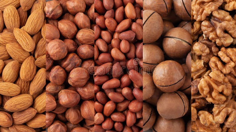 Top View of Many Different Nuts Close Up. Hazelnuts, Almonds, Peanuts ...