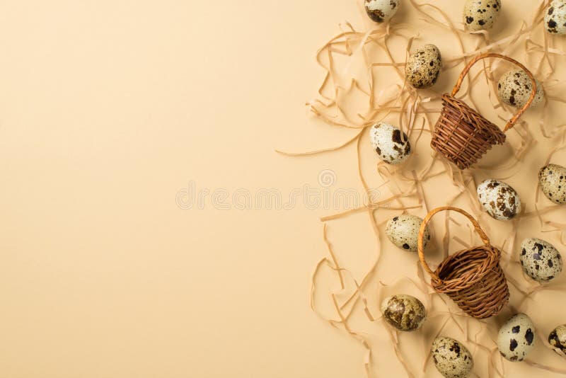 Eggs Different Baskets Stock Photos - Free & Royalty-Free Stock Photos ...